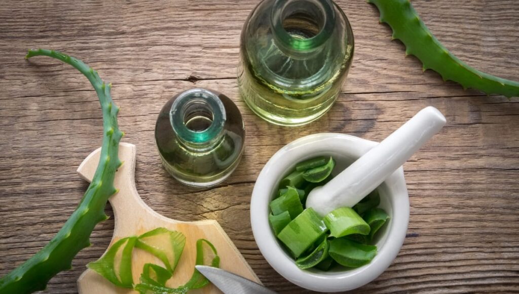 How To Use Aloe Vera Oil: A Comprehensive Guide To Unlocking Its Benefits