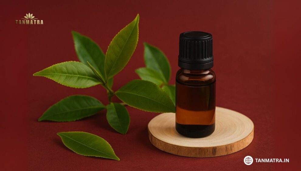 Green Tea Oil Benefits – Complete Guide For Skin, Hair & Health 2025
